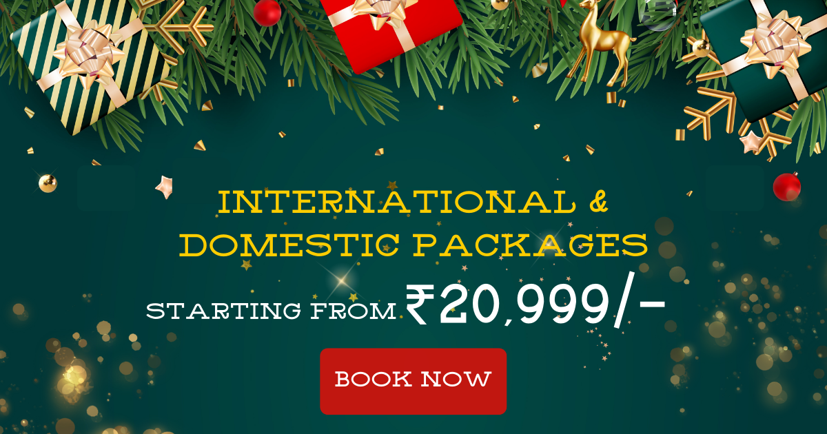 Christmas and New Year Holiday Deal Packages | DPauls